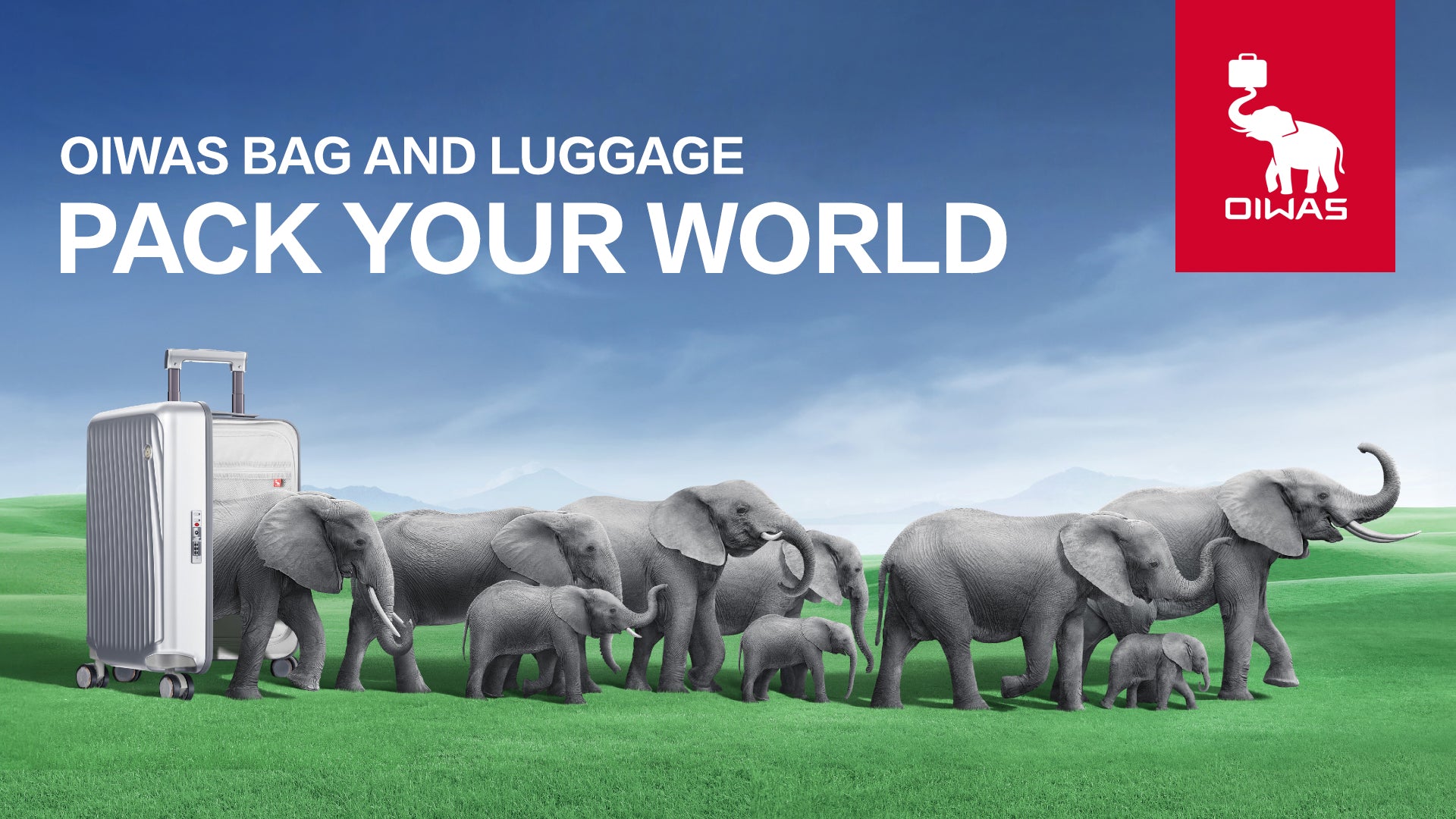 "OIWAS' Brand Characteristics and Symbolism" – OIWAS Luggage & Bag